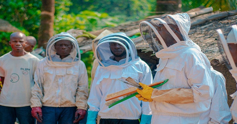 Celebrating Purpose & Progress on International Bee Day